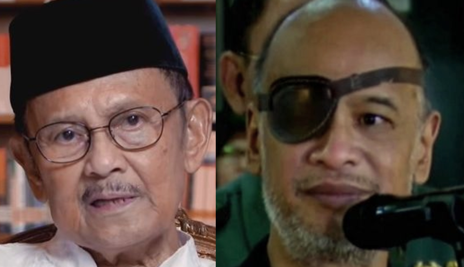 Mendiang BJ Habibie Dikabarkan Jadi Pendonor Mata untuk Thareq Kemal Habibie, Ilham Akbar ...