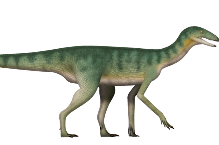 Dinosaurus Pertama Berukuran Besar atau Kecil? - National Geographic